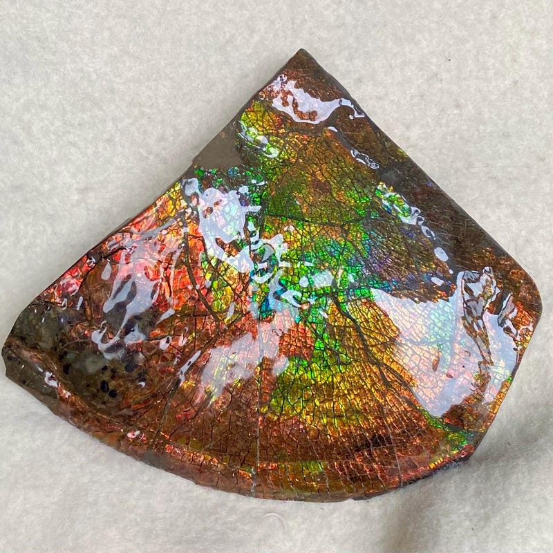 Ammolite - Etsy