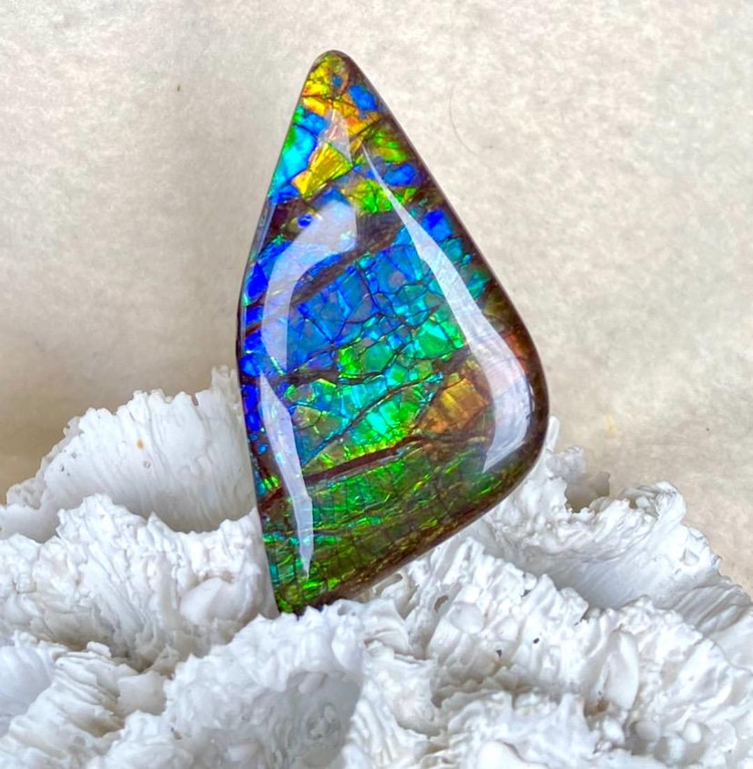 Ammolite Gem Ready to Set Huge Multi-color Dragonskin With Blue/purple ...