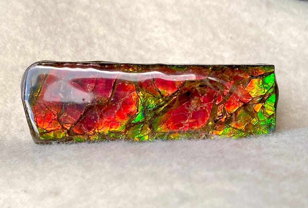 Ammolite Hand Specimen or Display Piece - Stand-alone Piece of Ammonite ...