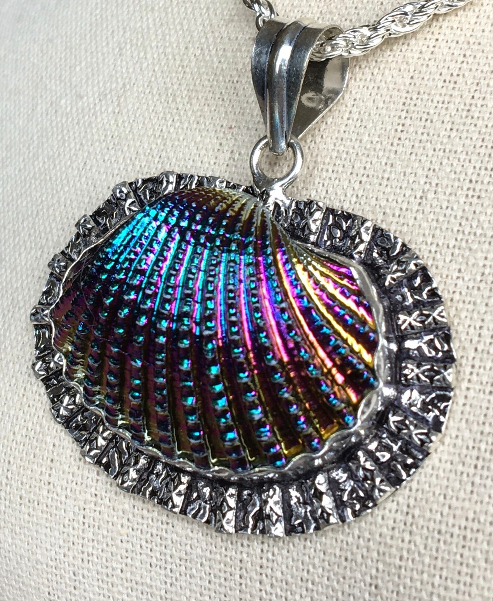 Shell Pendant Rainbow Titanium Shell See All the Photos - Etsy Canada