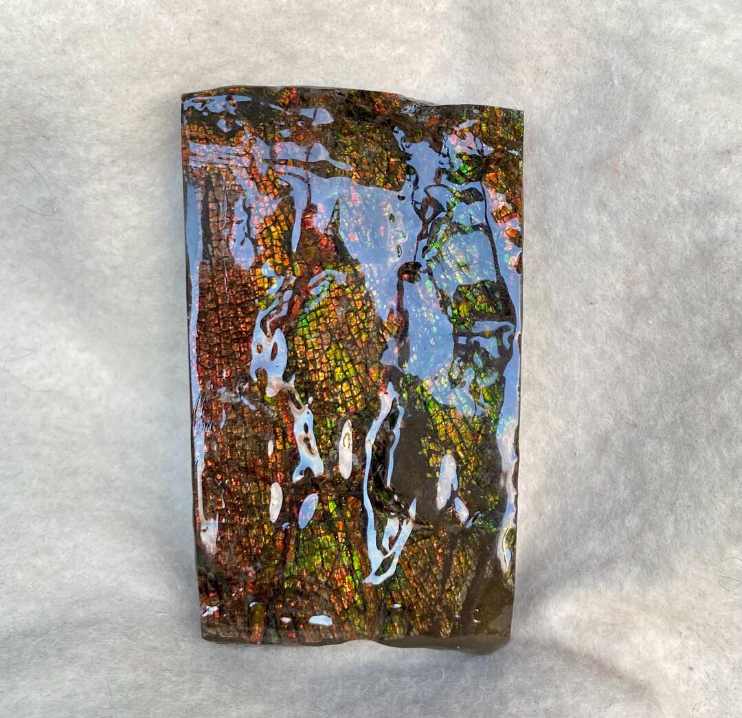 Ammolite Hand Specimen or Display Piece! Gem in Deep Autumn Colors ...