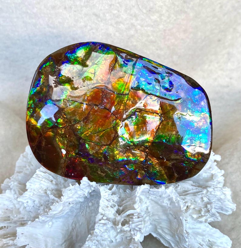 Ammolite Hand Specimen - Large Display Piece - Please Read Description ...