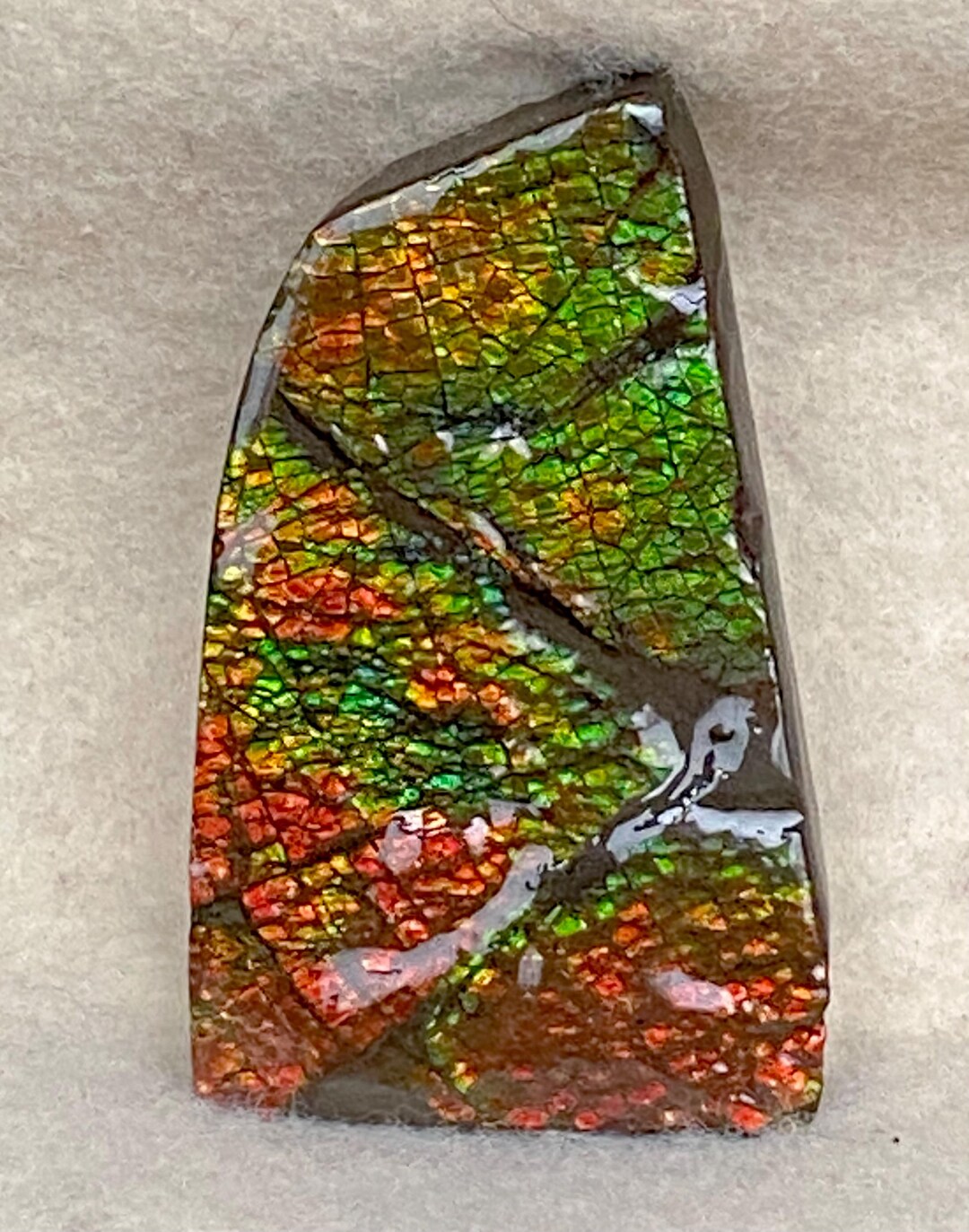 Ammolite Hand Specimen - Red and Green - Please Read Description - Etsy