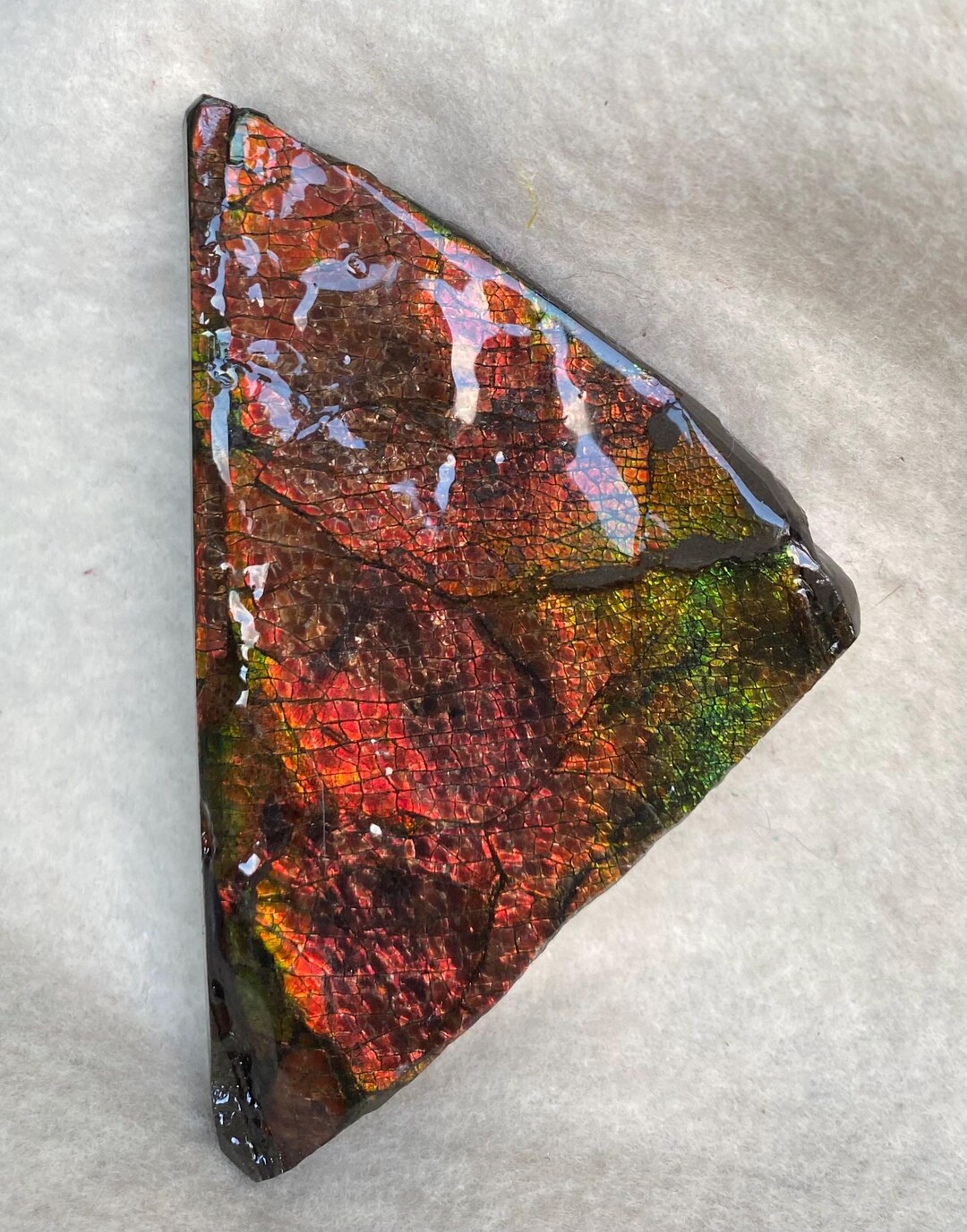Ammolite Hand Specimen or Display Piece! Gem in Deep Autumn Colors ...