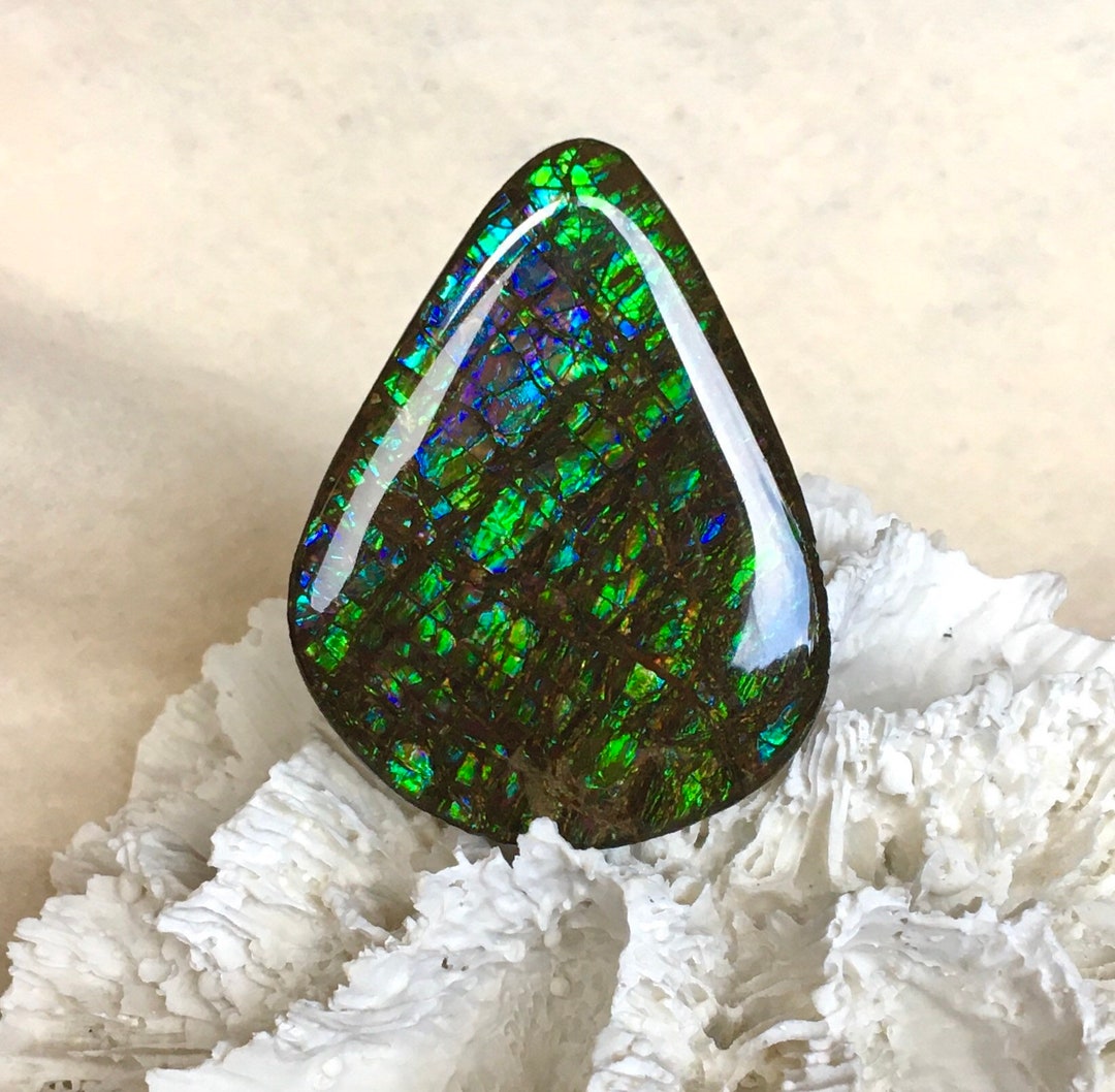 Ammolite Gemstone - Ready to Set! Green With Blue Large Size! MUST Read ...