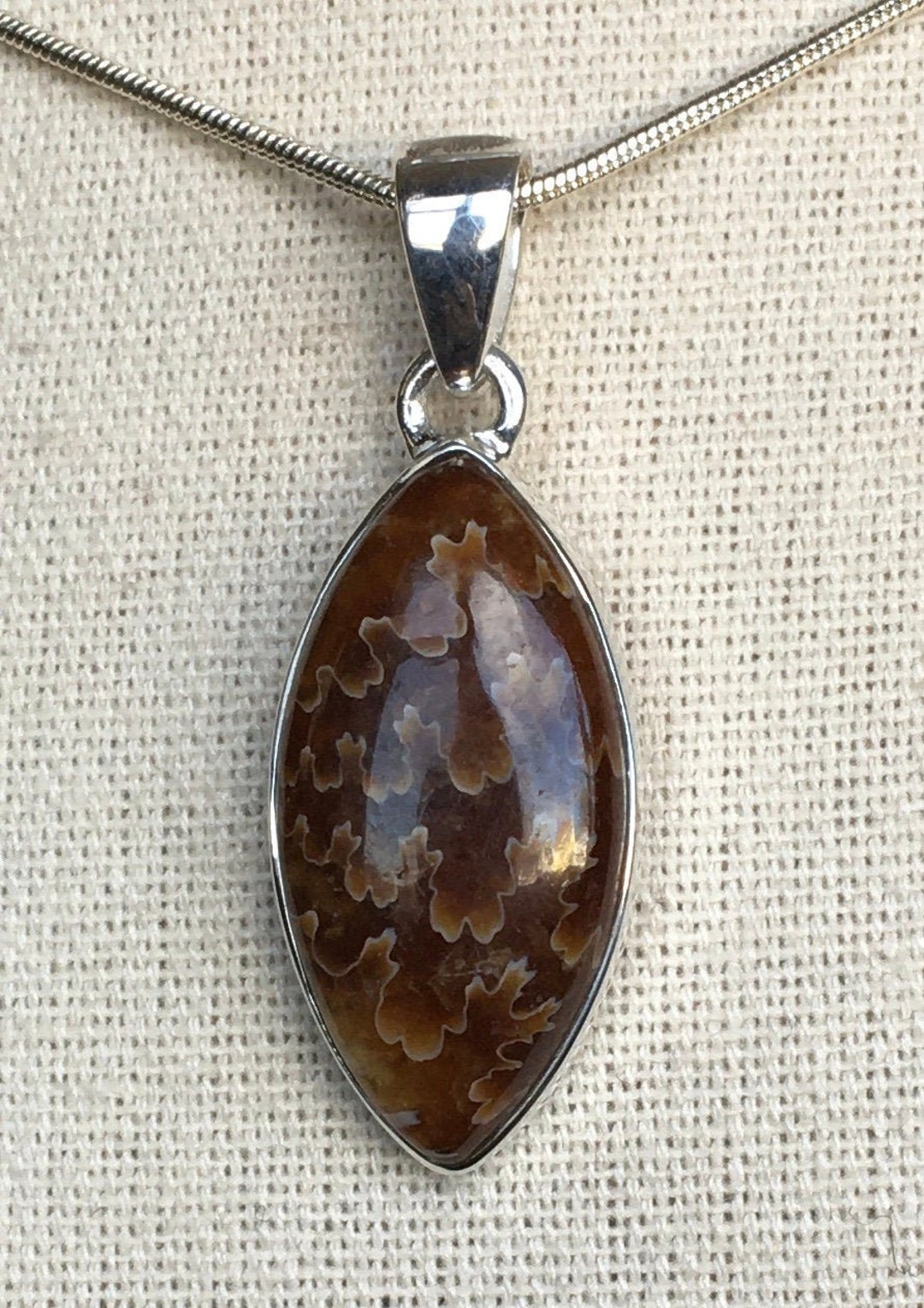 Ammonite Pendant - Nice Suture Lines! Madagascar Ammonite - Please Read ...