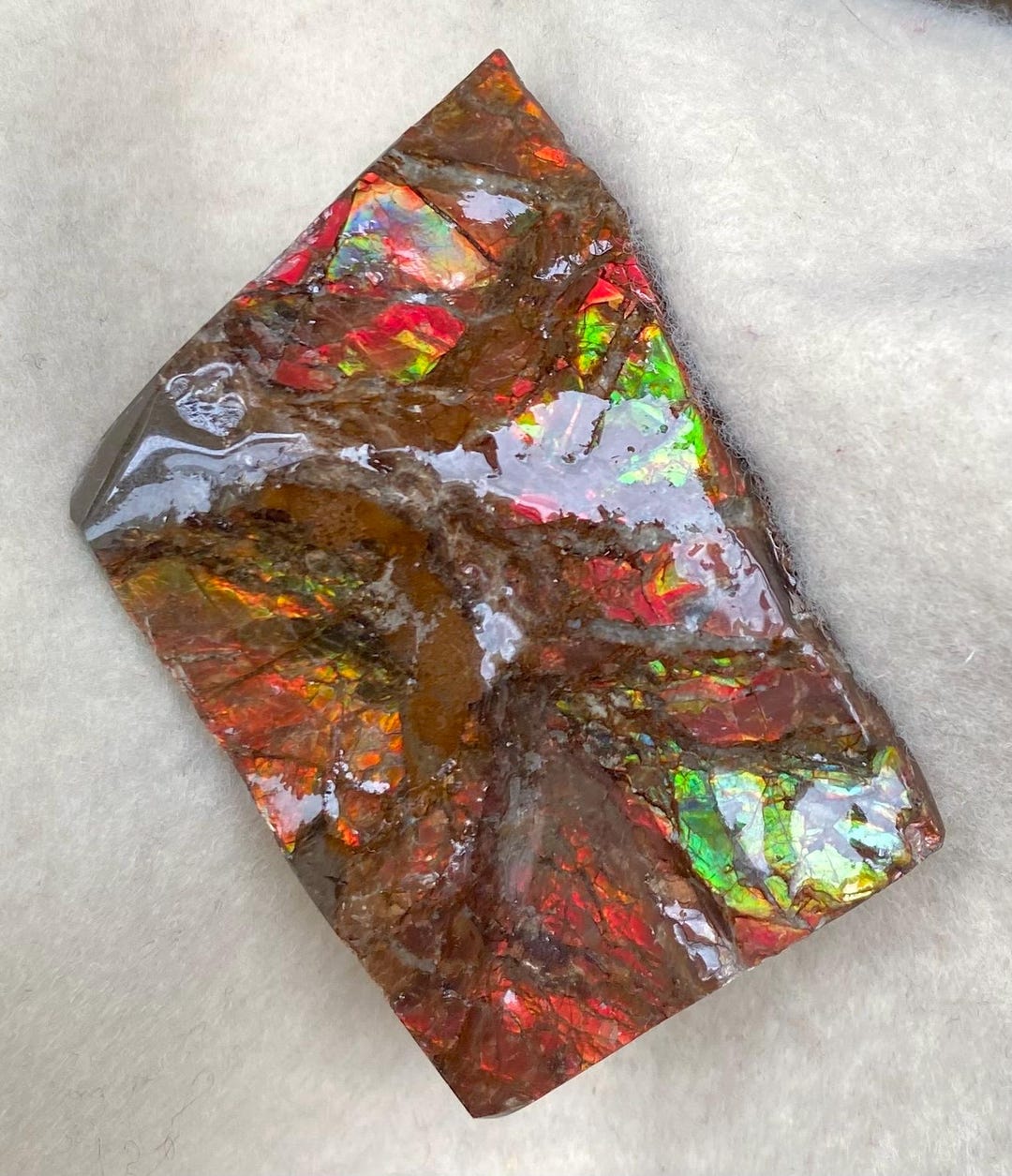 Ammolite Hand Specimen or Display Piece - Red and Green - Please Read ...