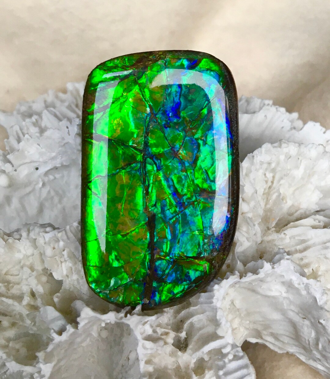 Ammolite Gemstone - Ready to Set! Blue and Green! MUST Read Description ...