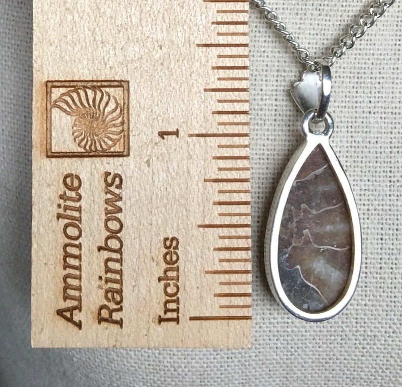 Ammonite Pendant - Nice Suture Lines! Madagascar Ammonite - Please Read ...