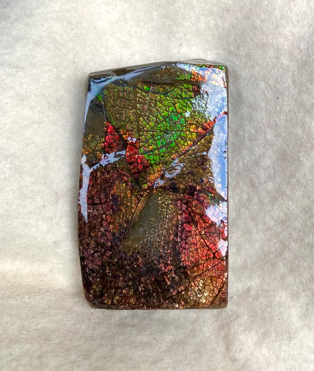 Ammolite Hand Specimen or Display Piece - Stand-alone Piece of Ammonite ...
