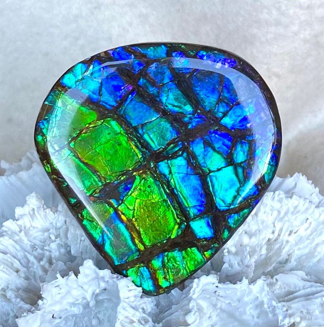 Ammolite Gemstone - Ready to Set or Hand Specimen! Blue With Green ...