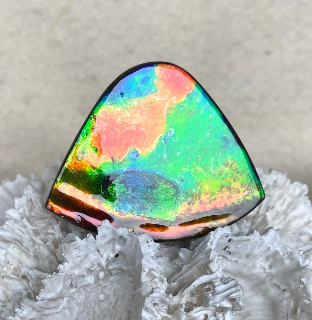 Ammolite Gem - Ready to Set! Large Multi-color Gem! Very Unique Pattern ...