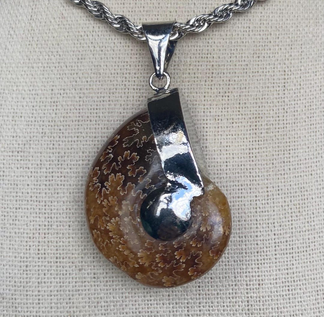 Ammonite Pendant - Nice Suture Lines! Madagascar Ammonite - Please Read ...