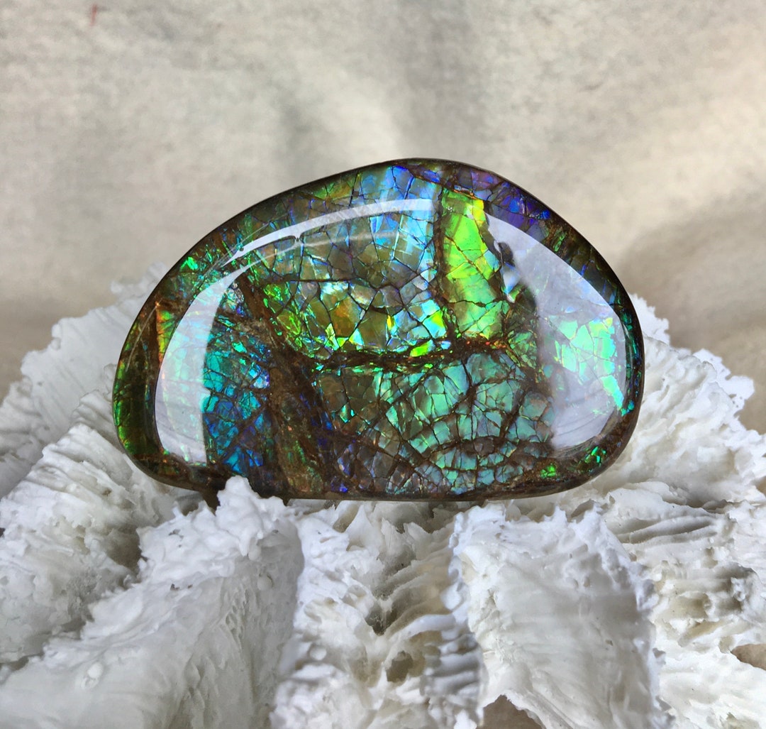 Ammolite Gemstone - Ready to Set! Nice Pattern! Large Gem! Please Read ...