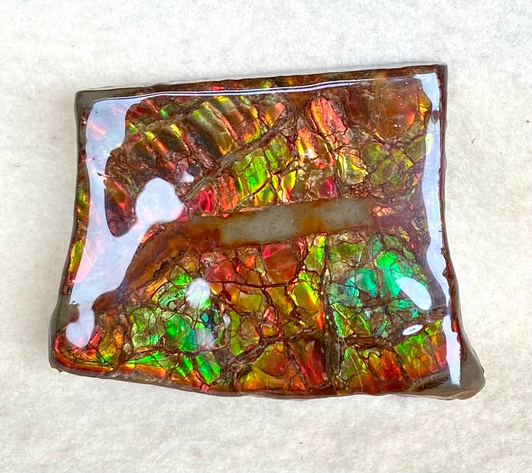 Ammolite Hand Specimen or Display Piece - Stand-alone Piece of Ammonite ...