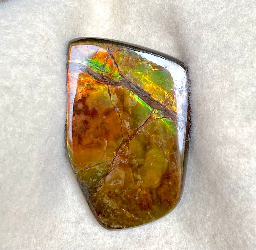 Ammolite Hand Specimen or Display Piece! Hand Polished Gem in Deep ...