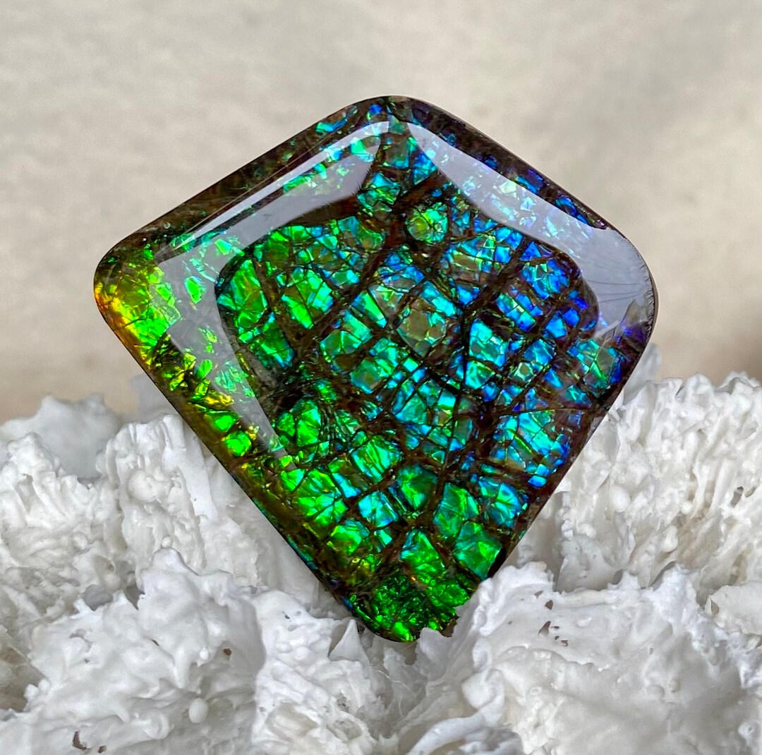 Ammolite Gemstone - Ready to Set! Green and Blue - Purple From Extreme ...
