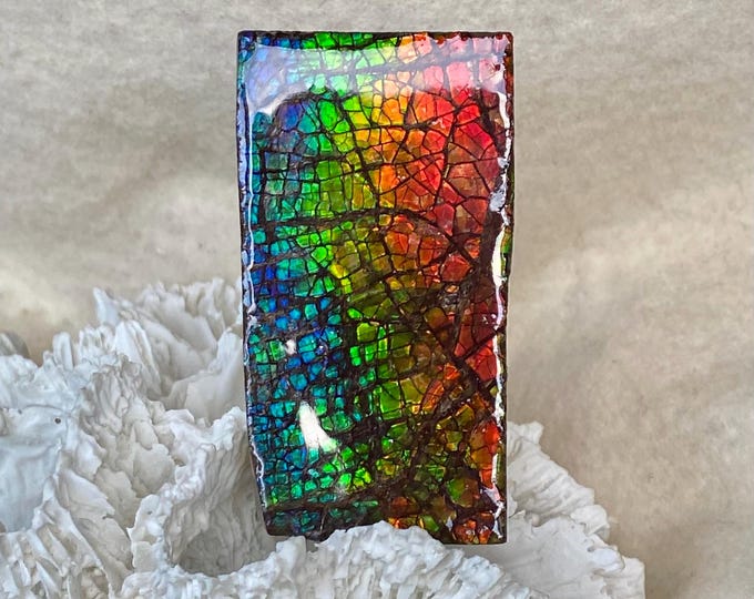 Ammolite Hand Specimen or Display Piece - Stand-alone Piece of Ammonite ...