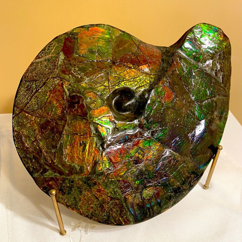 Canadian Ammolite - Etsy