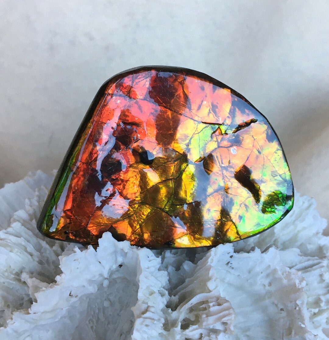Ammolite Hand Specimen or Display Piece - Ammolite Sculpture - Brighter ...