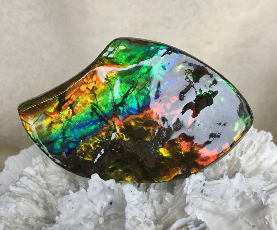 Ammolite Hand Specimen Colors Like an Oil Slick MUST Read Description ...