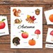 American Robin Life Cycle Pack Homeschool Printable 3-part Cards Nature ...