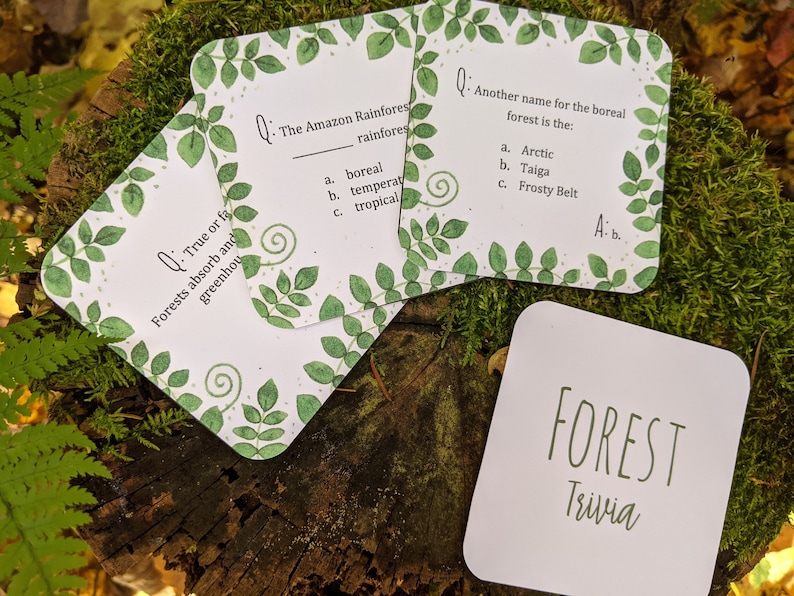 Forest Trivia Cards | Homeschooling Printable | Game - Etsy