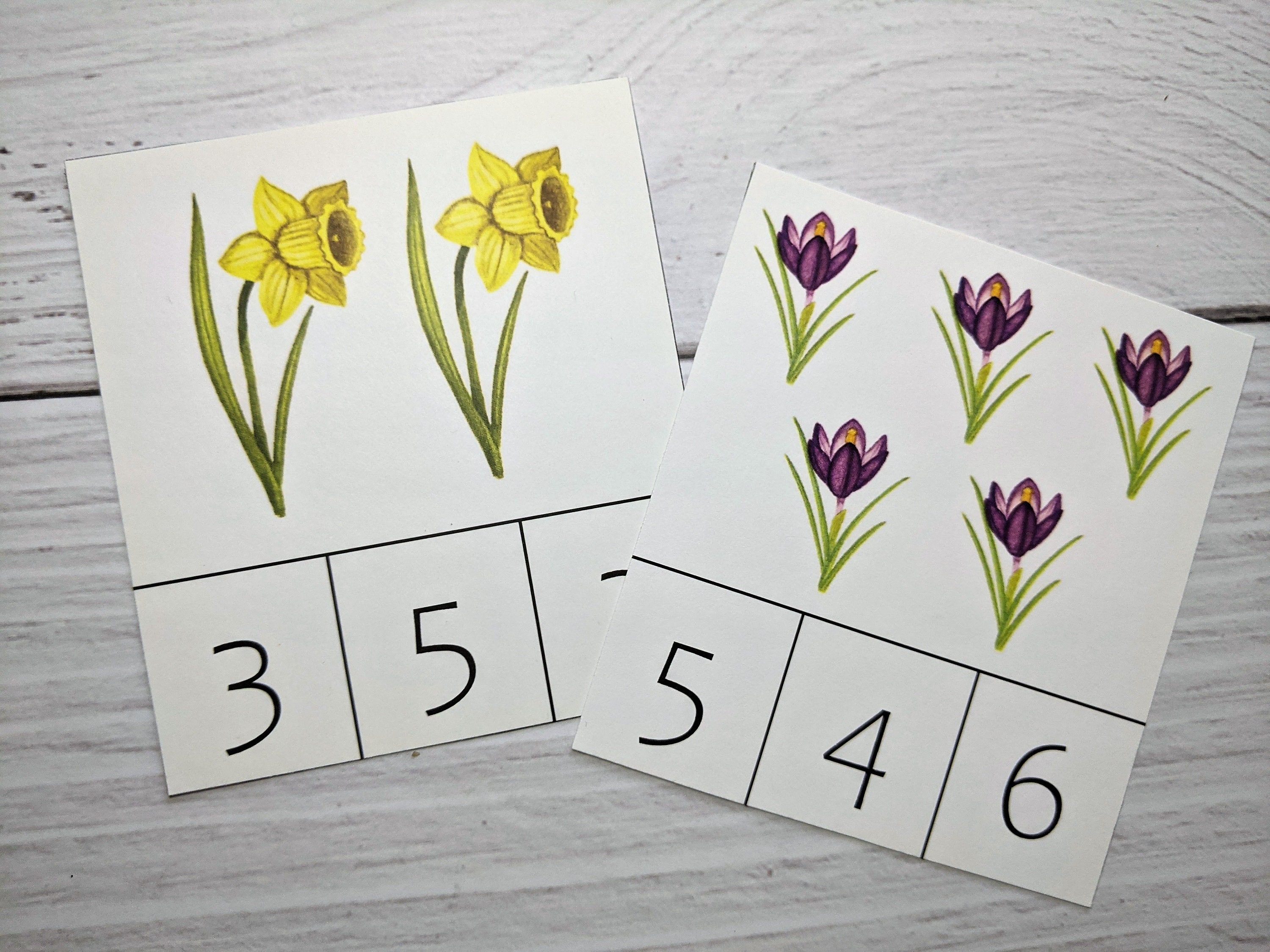 Spring Count & Clip Cards | Homeschool Printable | Math - Etsy