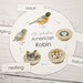 American Robin Life Cycle Pack Homeschool Printable 3-part Cards Nature ...
