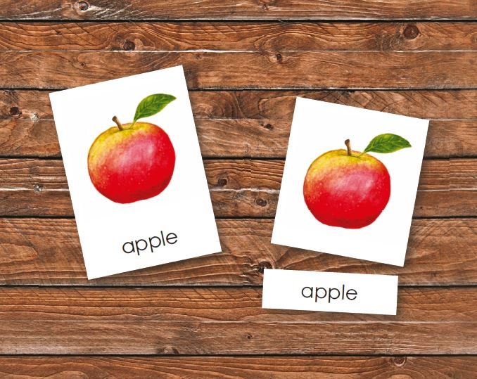 Autumn Early Learning Bundle Homeschool Printable 3-Part | Etsy