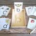 American Robin Life Cycle Pack Homeschool Printable 3-part - Etsy