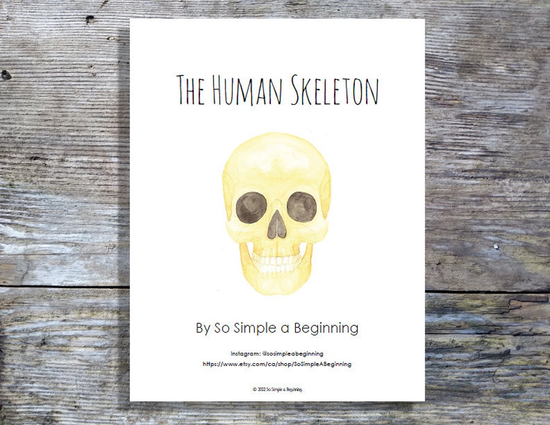 The Human Skeleton | Science | Homeschool Printable - Etsy