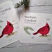 Northern Cardinal Anatomy Pack Homeschool Printable Nature Study - Etsy