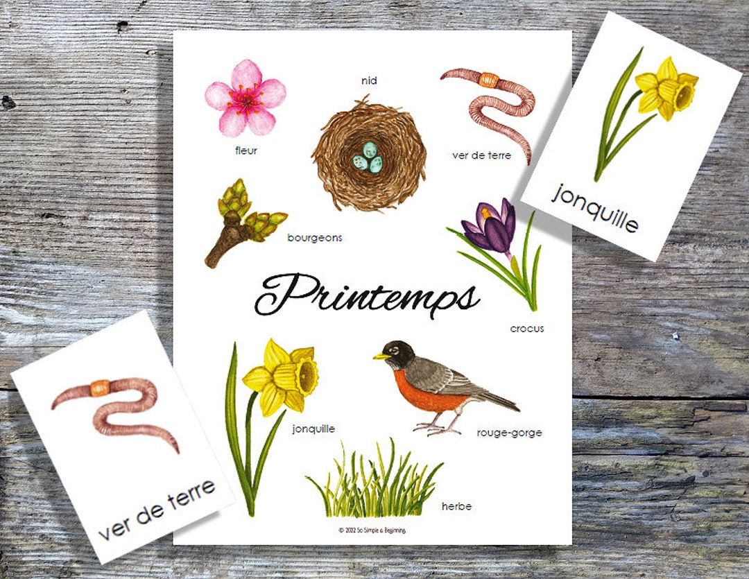French Spring Mini Poster & Cards | Homeschool Printable | Language | 3 ...
