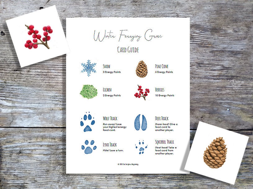 Winter Foraging Game Homeschool Printable (Download Now) - Etsy