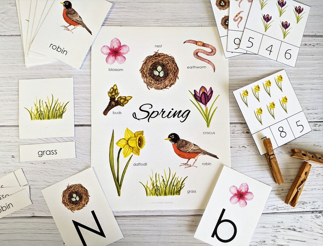 Spring Early Learning Bundle | Homeschool Printable | 3-part Cards ...