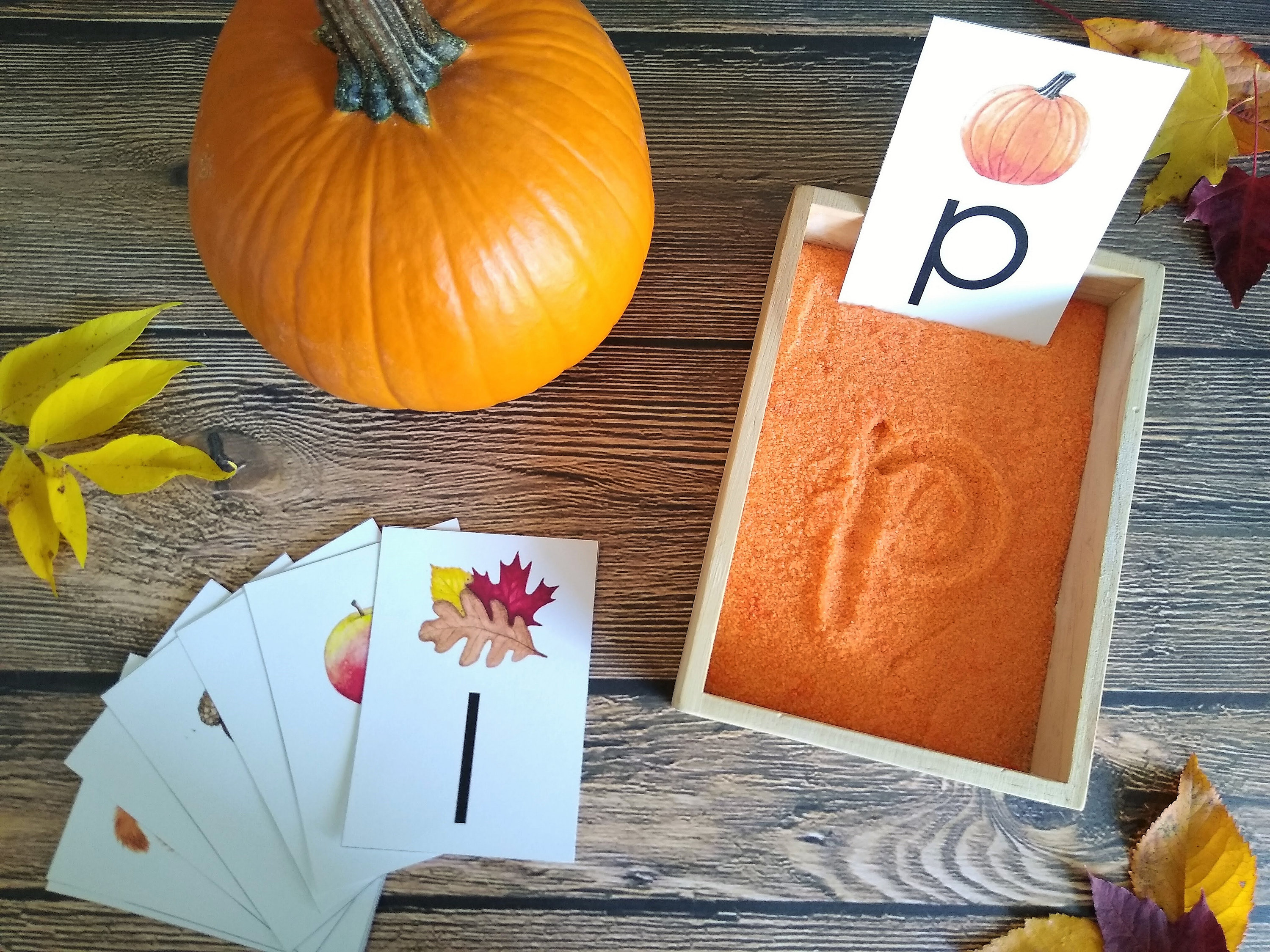 Autumn Early Learning Bundle Homeschool Printable 3-part - Etsy Norway