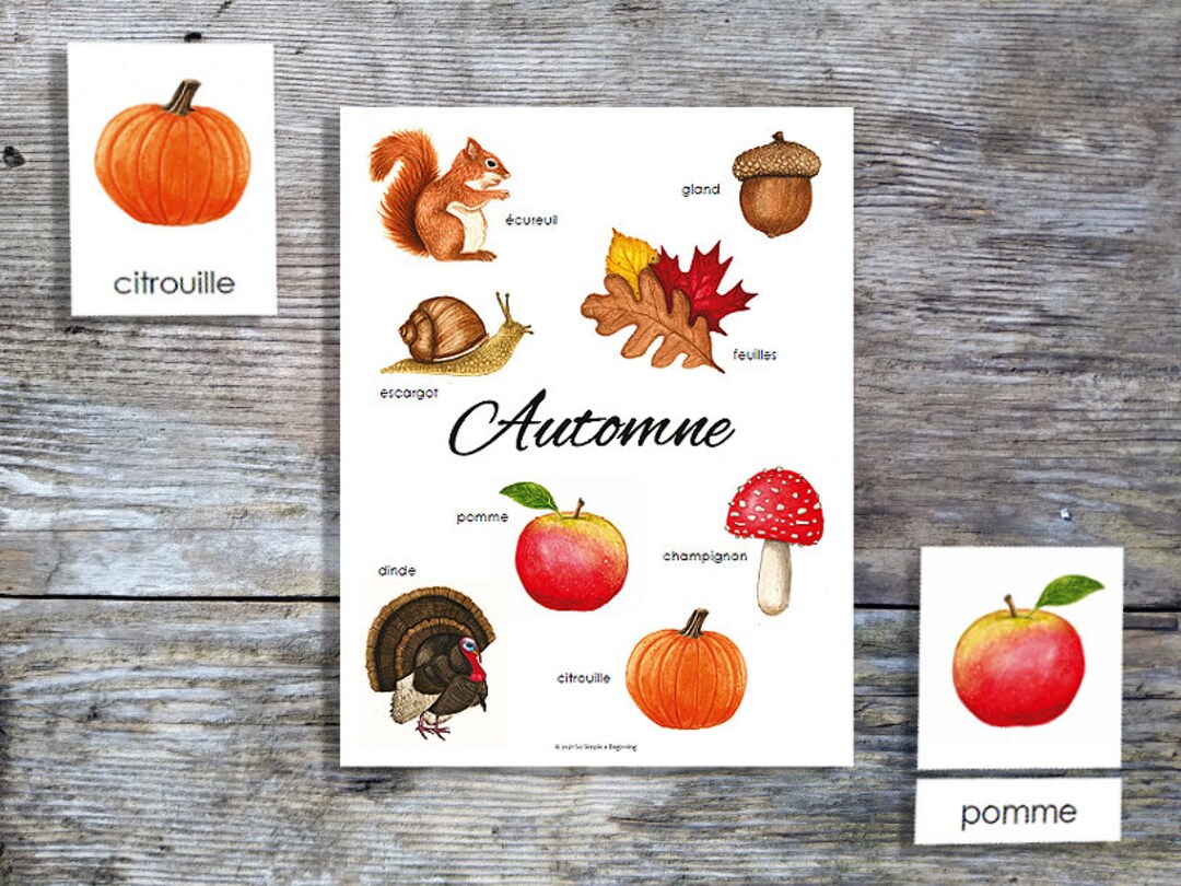 French Autumn Mini Poster and Cards | Homeschool Printable | 3-part ...