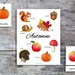 American Robin Life Cycle Pack Homeschool Printable 3-part Cards Nature ...