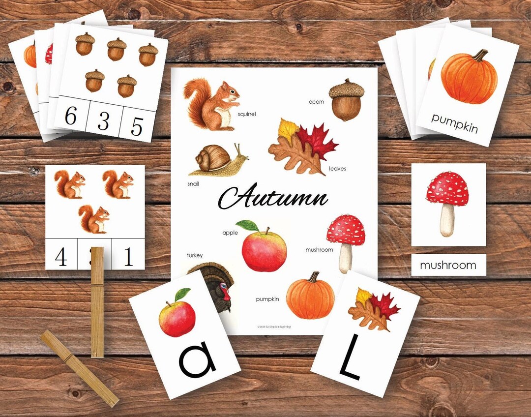 Autumn Early Learning Bundle | Homeschool Printable | 3-part Cards ...