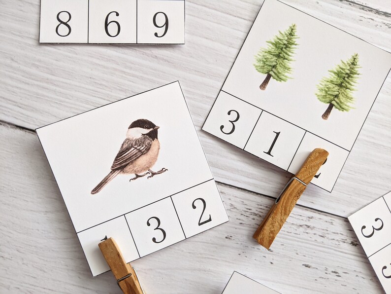 Winter Count & Clip Cards | Homeschool Printable | Math - Etsy