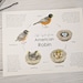 American Robin Life Cycle Pack Homeschool Printable 3-part Cards Nature ...