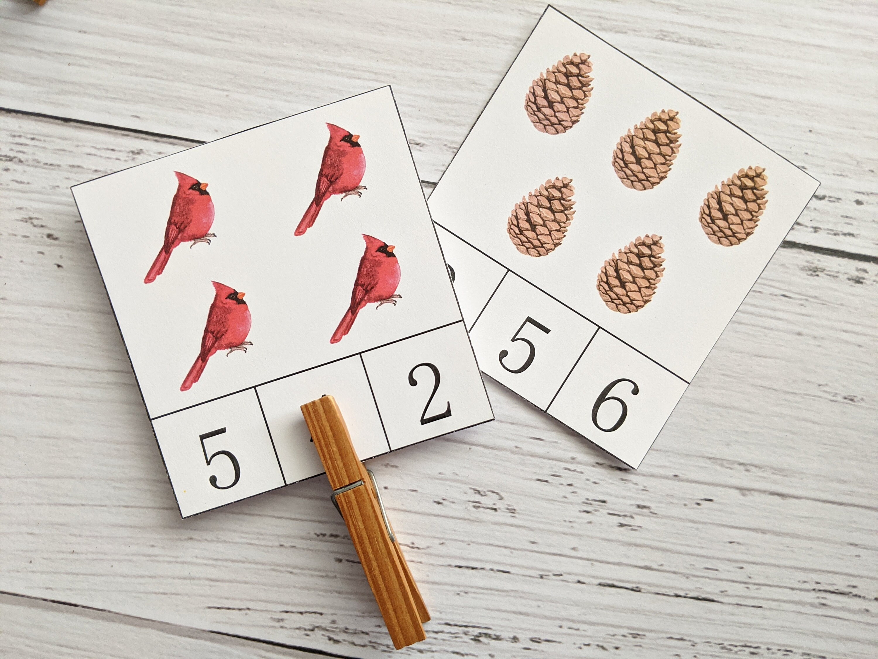 Winter Count & Clip Cards | Homeschool Printable | Math - Etsy