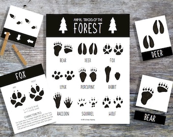 Printable Animal Tracks, Print Cards, Forest Animal Tracks Guide ...