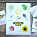 Northern Cardinal Anatomy Pack Homeschool Printable Nature Study - Etsy
