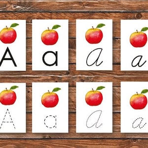 Autumn Early Learning Bundle Homeschool Printable 3-part Cards Early ...