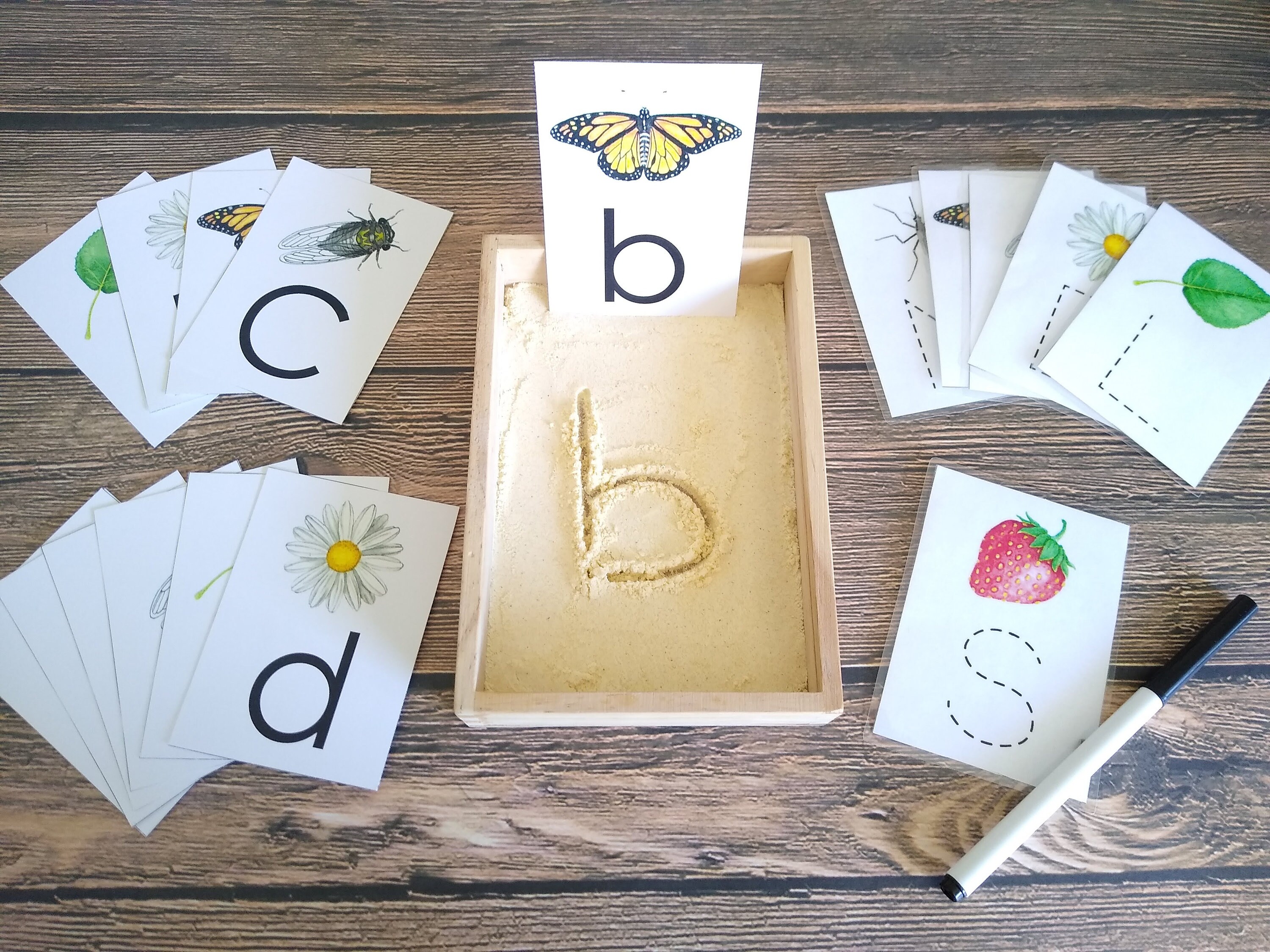 Summer Early Learning Bundle Homeschool Printable | Etsy