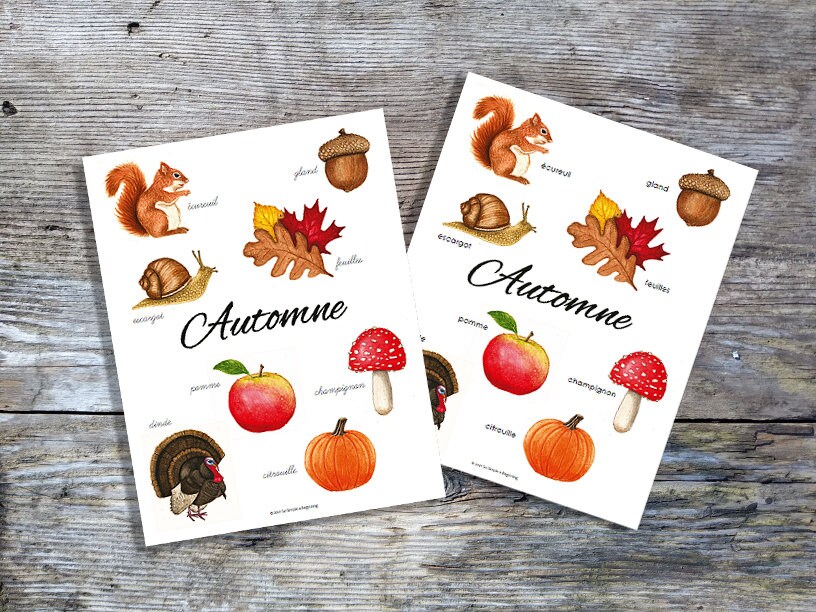 French Autumn Mini Poster and Cards | Homeschool Printable | 3-part ...