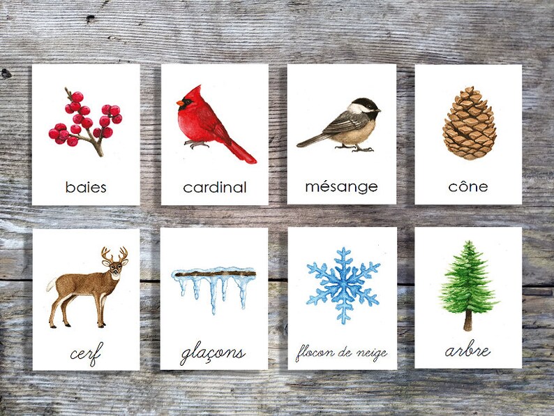 French Winter Mini Poster and Cards Homeschool Printable 3-part Cards ...