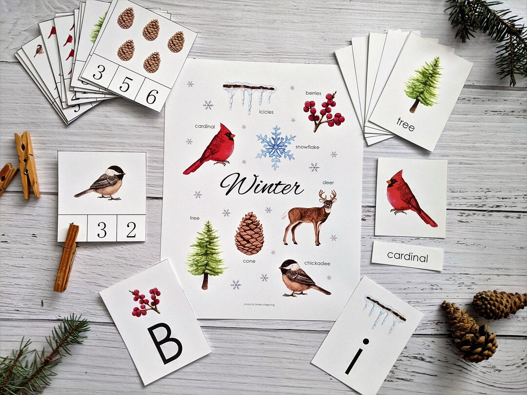 Winter Early Learning Bundle | Homeschool Printable | 3-part Cards ...